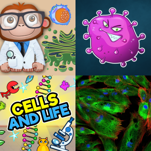 Teaching Plan: Cells and Life MS-LS1.A-1 - Free Games and Assessments ...