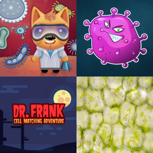 Student Lesson: Levels of Organization: Cells to Organisms 7.12C - Free ...