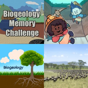 Student Lesson: Ecosystem Dynamics, Functioning, and Resilience 4.ESS2 ...