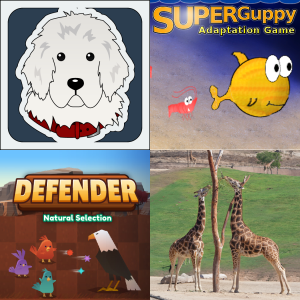 Worksheet: Natural Selection and Selective Breeding 7.11C - Free Games ...