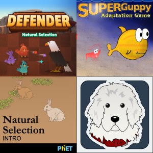 Free Homework Prep: Natural Selection and Selective Breeding 7.11C ...