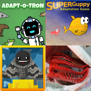 For Class: Adaptation of Internal Structures 7.12A - Free Games and ...