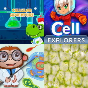 Free Lesson: Assignment - Cell and Organism Functions - Free ...