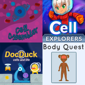 For Class: Levels of Organization: Cells to Organisms 7.12C - Free ...