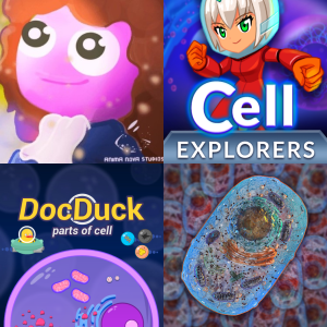 Free Lesson: Structures and Functions of Single Celled Organisms 7.L.1. ...