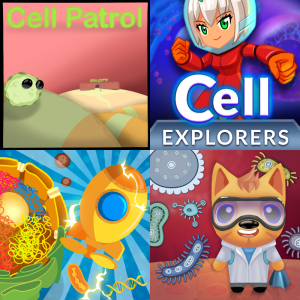 Student Lesson: Levels of Organization: Cells to Organisms 7.12C - Free ...