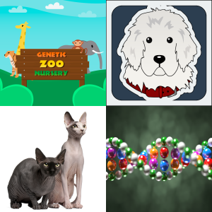 Free Educational Games: Genes and Traits S7L3.a - Free Educational ...
