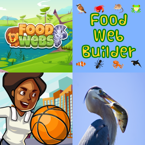 Free Lesson: Food Webs - Free Educational Games - Legends of Learning