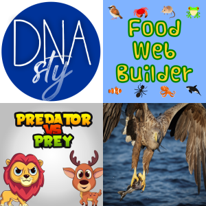 Game Based Learning: Food Webs 4.9b Assignment - Free Games and ...