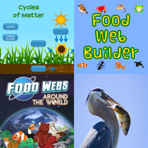 For Class: Flow of Energy in the Food Chain SC.4.L.17.3 - Free ...