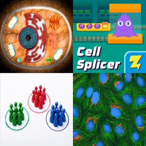 Free Homework Prep: Parts of the Cell S7L2.a - Free Educational Games ...