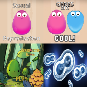 For Class: Sexual and Asexual Reproduction SC.7.L.16.3 - Free Games and ...