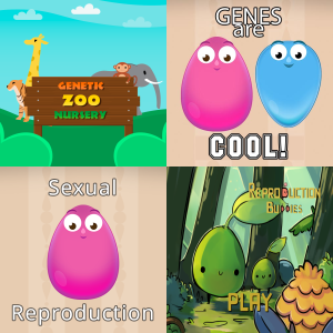 Game Based Learning: Sexual Reproduction and Genetic Variation LS3.B-1 ...