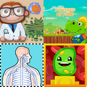 Practice: Human Body Systems 7.12B - Free Educational Games - Legends ...