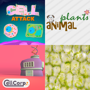 Practice: Parts of the Cell - Cell Structure and Function - Free Games ...