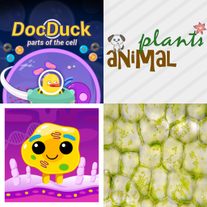 Free Educational Games: Plant vs. Animal Cells SC.6.L.14.4 - Free ...