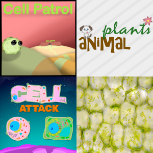 Free Homework Prep: Cell Organelles 7.LS1.1 - Free Games and ...