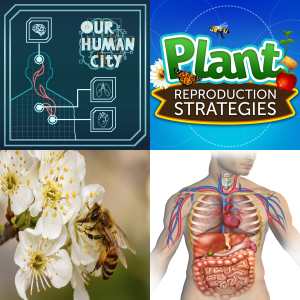 Teaching Plan: Multicellular Organisms and their Subsystems MS-LS1.A-3 ...