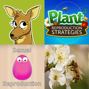 Free Educational Games: Sexual Reproduction and Genetic Variation MS ...