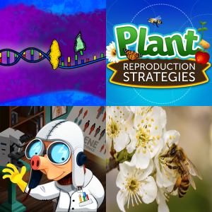 Free Educational Games: Gene Mutations MS-LS3.B-2 - Free Educational ...