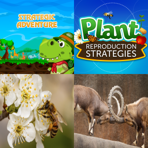 Practice: Animal Reproduction Strategies MS-LS1.B-1 - Free Educational ...