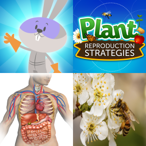 Free Homework Prep: Plant Reproduction Strategies LS1.B-2 - Free Games ...