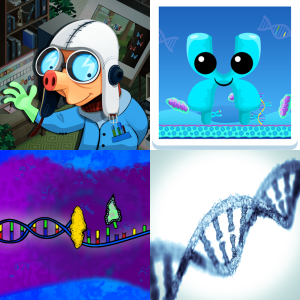 Free Lesson: Gene Mutations and Traits MS.LS3A.b - Free Educational ...