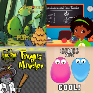 Practice: Reproduction and Gene Transfer - Free Games and Assessments ...