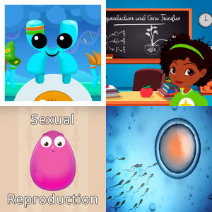 Free Lesson: Sexual Reproduction and Genetic Variation 7.14B - Free ...