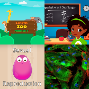 Game Based Learning: Formation of Cells 6.LS.2 - Free Educational Games ...