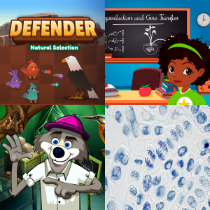 Practice: Natural Selection MS-LS4.B-1 - Free Educational Games ...