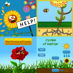 Lesson: Cycles of Matter and Energy Transfer in Ecosystems ES-LS2.B-1 ...