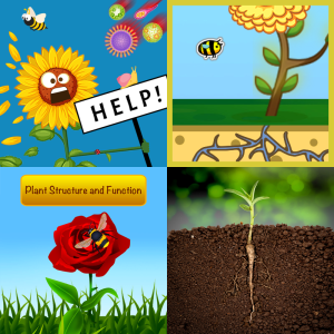 Free Educational Games: Plant Structure and Function ES-LS1.A-1a - Free ...