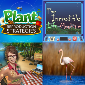 Practice: Embryological Evidence for Common Ancestry MS-LS4.A-3 - Free ...