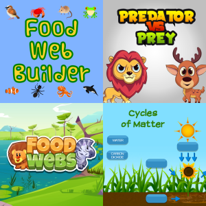 Free Lesson: Flow of Energy in the Food Chain SC.4.L.17.3 - Free ...