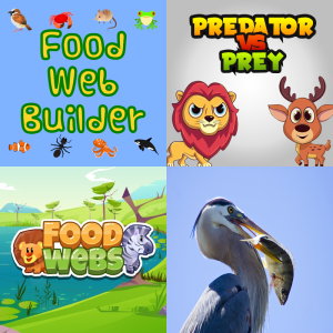 Game Based Learning: Food Webs ES-LS2.A-1a - Free Educational Games ...
