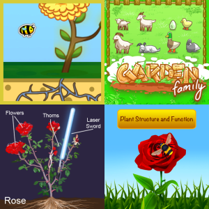Practice: Plant Structures and their Function SC.3.L.14.1 - Free ...