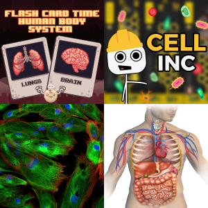 Lesson: Multicellular Organisms and their Subsystems MS-LS1.A-3 - Free ...