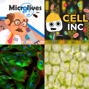 Worksheet: Cells and Life MS-LS1.A-1 - Free Games and Assessments ...