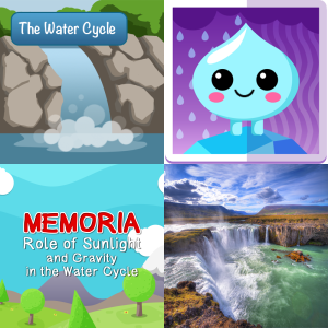 Lesson: Role of Sunlight and Gravity in the Water Cycle MS.ESS2C.c ...