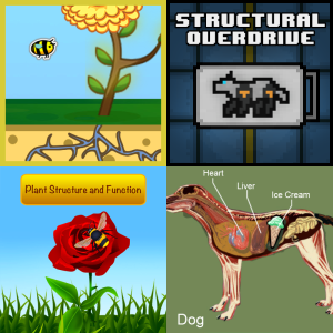 Game Based Learning: Classification of Organisms - Free Games and ...