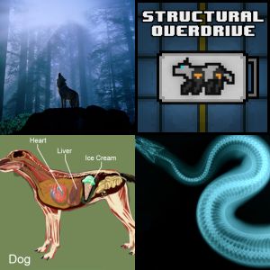 Free Lesson: Animal Structure and Function ES-LS1.A-1b - Free ...