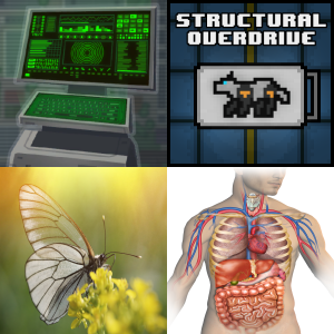 Teaching Plan: Human Organs Functions SC.5.L.14.1 - Free Educational ...