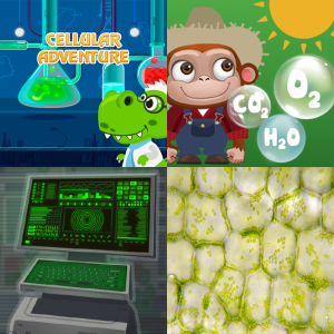 Free Educational Games: Plant vs. Animal Cells SC.6.L.14.4 Assignment ...