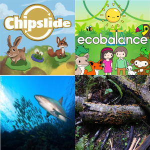 Game Based Learning: Cycles of Matter and Energy Transfer in Ecosystems ...