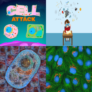 Game Based Learning: Parts of the Cell S7L2.a - Free Educational Games ...