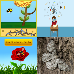 Lesson: Plant Adaptations 4.4d - Free Educational Games - Legends of ...