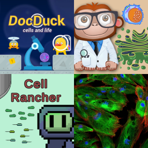 Free Lesson: Cell Theory SC.6.L.14.2 - Free Games and Assessments ...