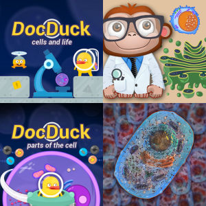 Practice: Structures and Functions of Single Celled Organisms 7.L.1.1 ...