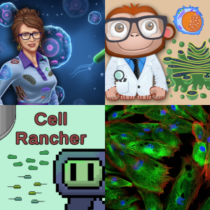 Worksheet: Cell Theory SC.6.L.14.2 - Free Educational Games - Legends ...